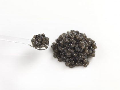 First Caviar / Reserved for Royalty / Premier European Caviar – Finest ...